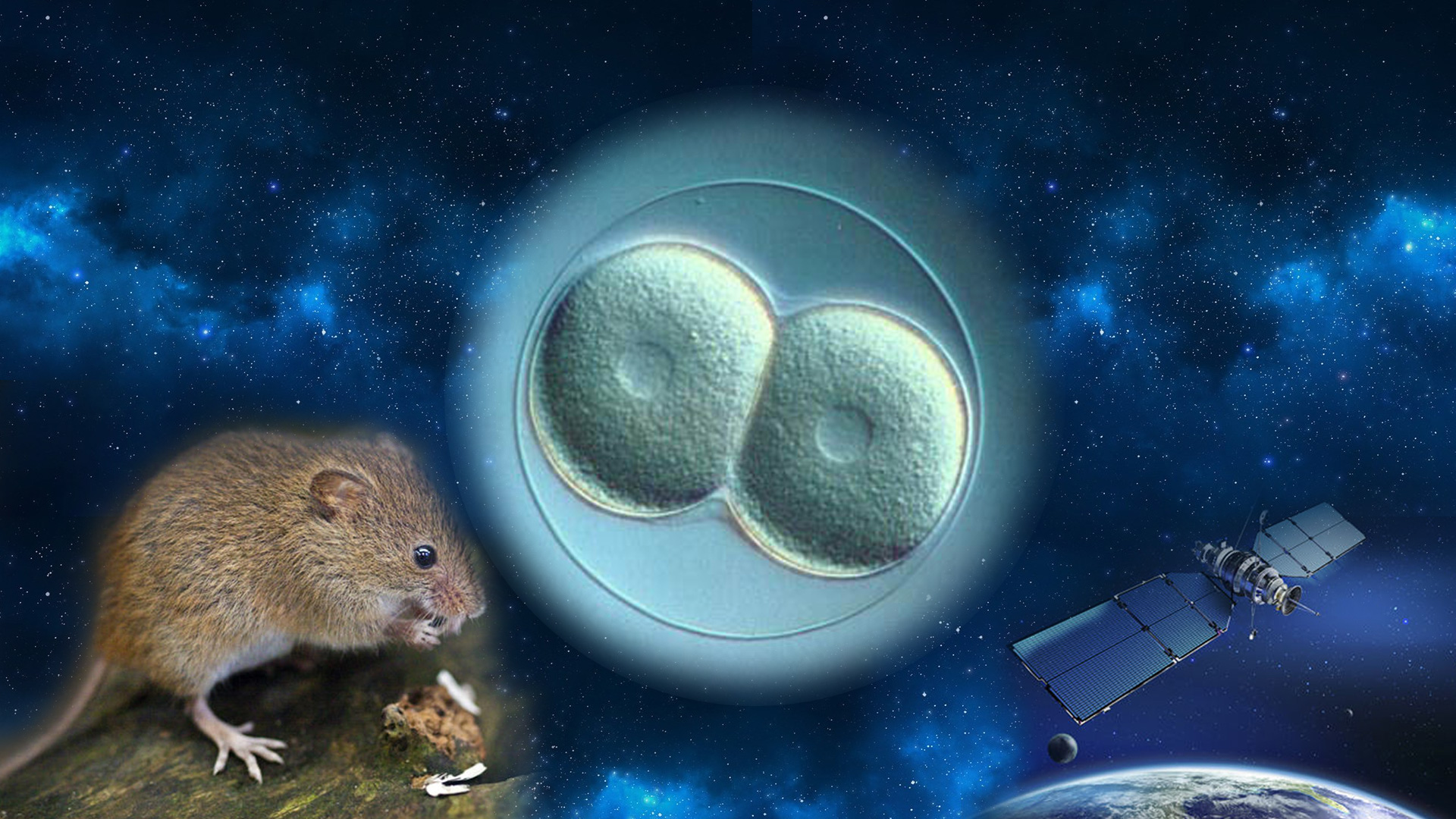 Life in Space: Scientists develop embryo among stars in planet ...