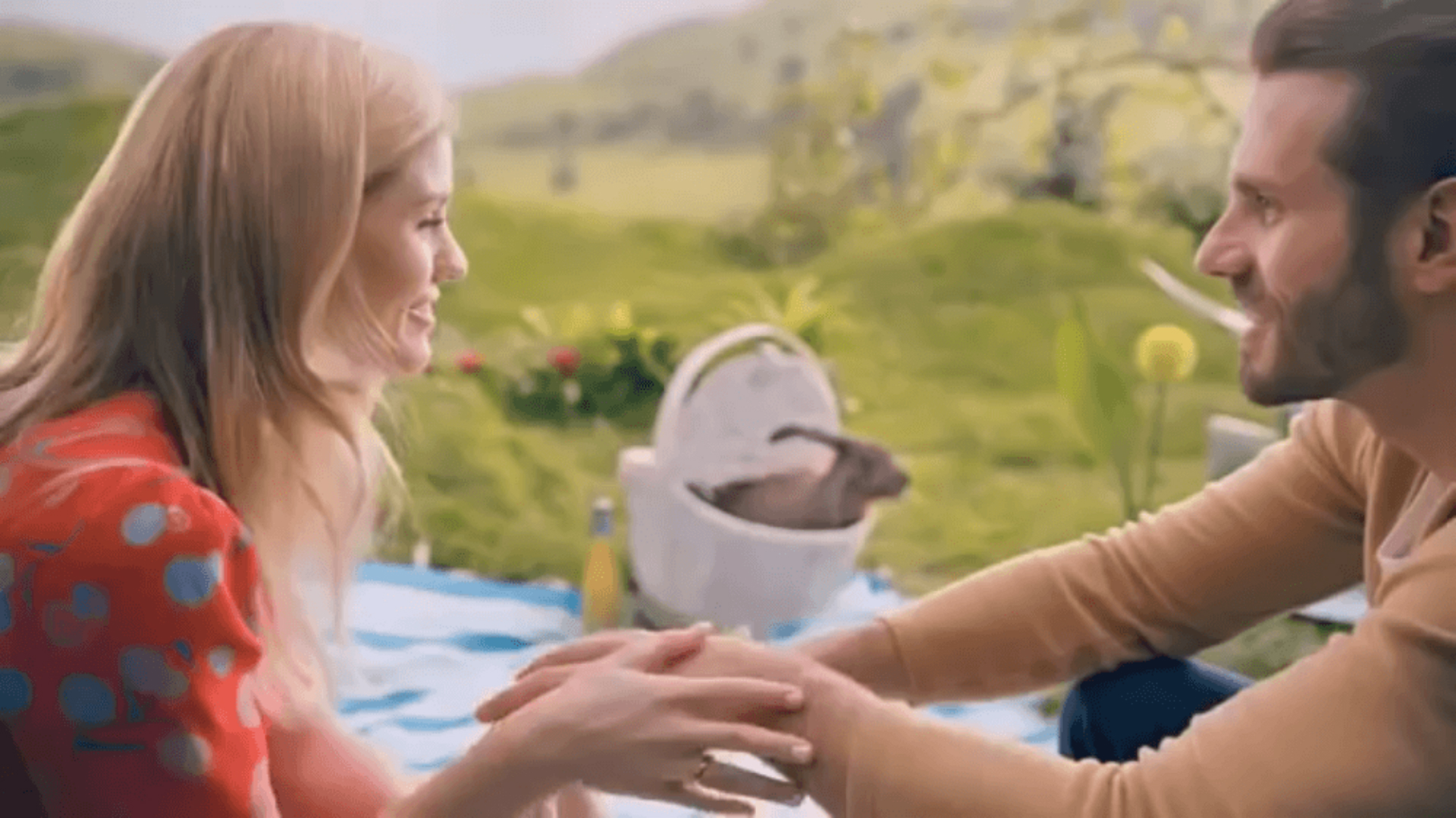 Poland Tells Young People to ‘Breed Like Rabbits’ to Raise Birth Rate