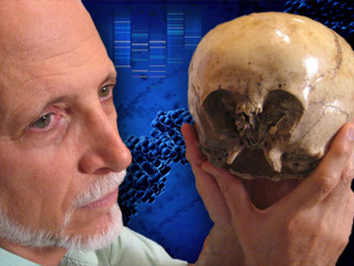 Extraction of Nuclear DNA from the Starchild Skull