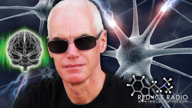 Brain, Precognition, Time Dilation, Tulpas & Déjà vu